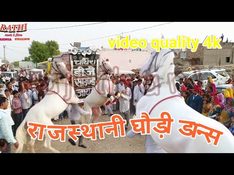 Ghodi Dance | Horse Dnce | Rajasthani Wedding Horse Dance # ...