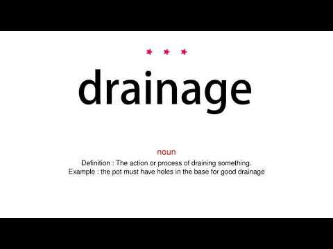 How to pronounce drainage - Vocab Today - YouTube