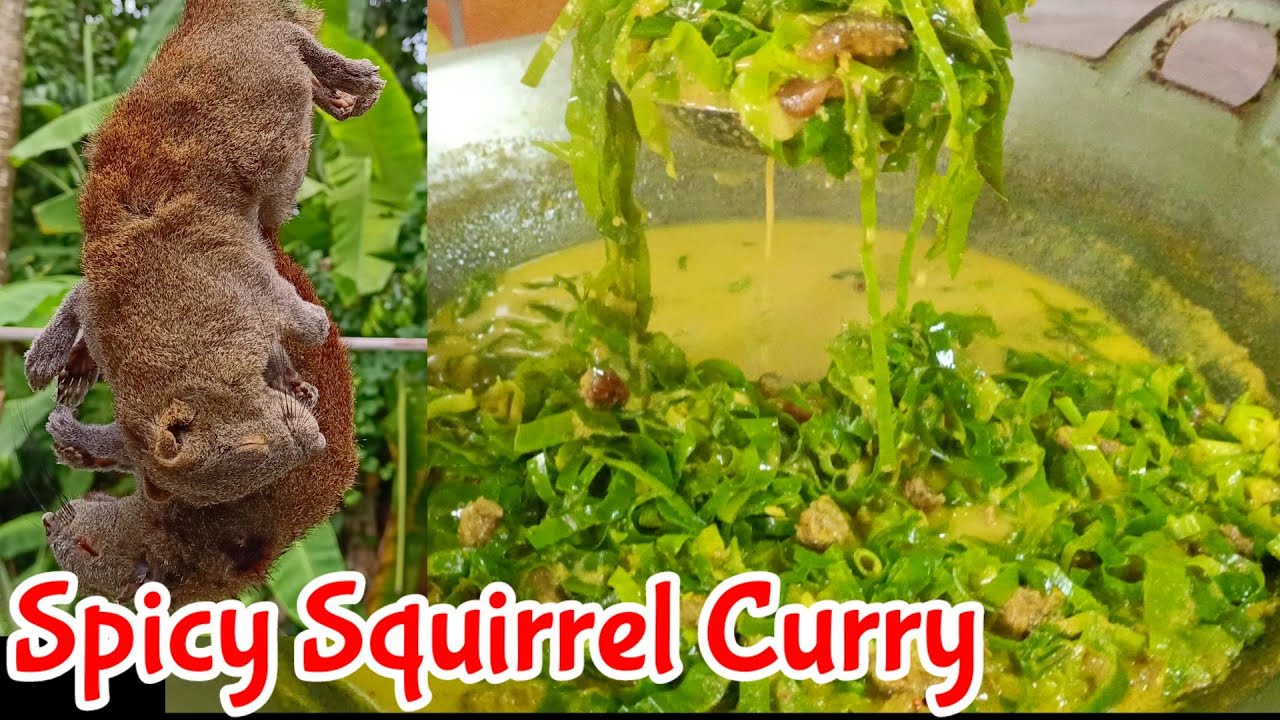 Gulai Lemak Tupai | Squirrel Curry | เเกงกระรอก [ Thai Cook Kitchen ...
