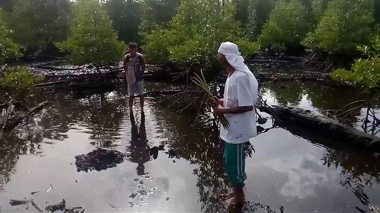 Ritual of the Molbogs before planting! - YouTube