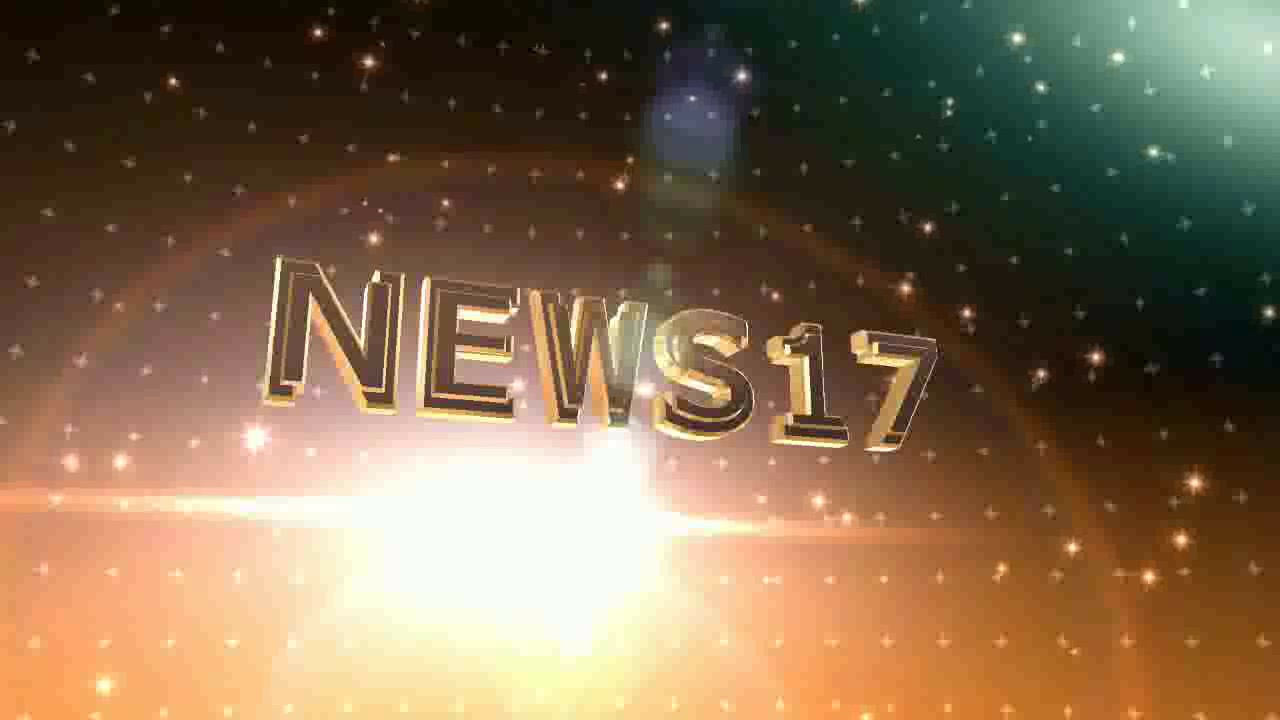 Salasar Techno Engineering Ltd IPO - YouTube