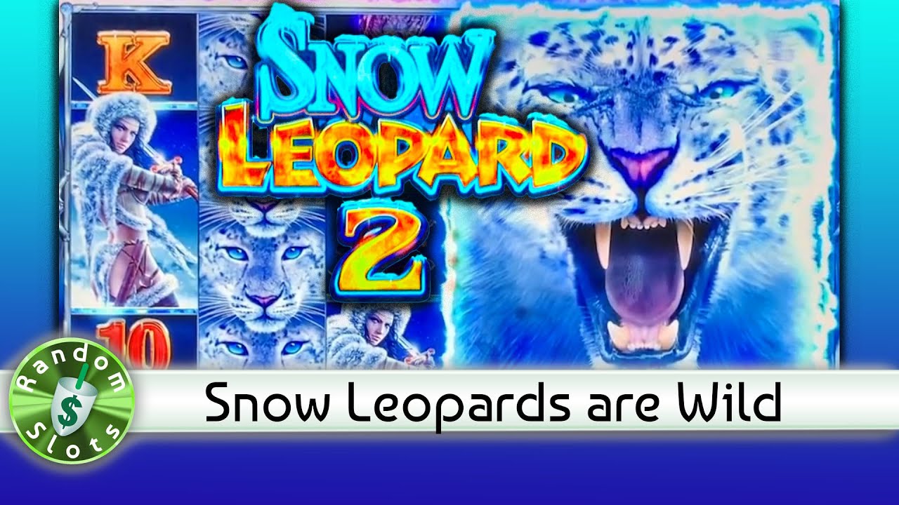 Snow Leopard 2 slot machine bonus - YouTube