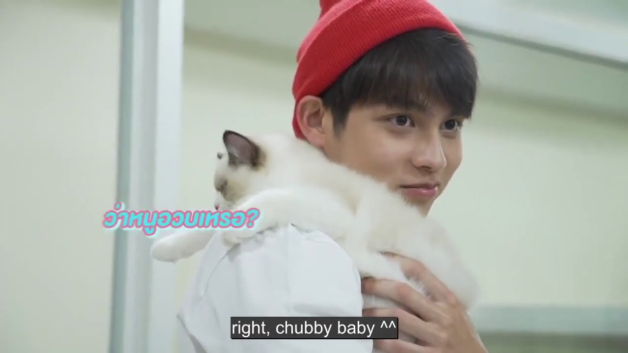 Bright Interview Eng Sub_Bright and Ame the cat #BrightVachirawit # ...