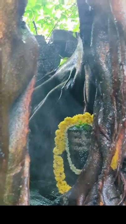 sawan somvar status video 2025🕉️/shubh Somwar status video🍀28 July Status #sawan#shorts - YouTube