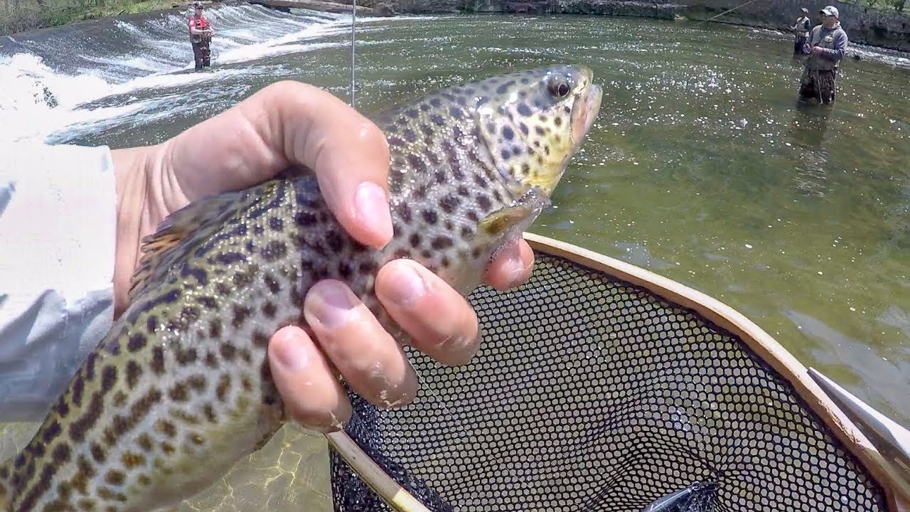 This fishing spot is GOLD!! - Couldn't BELIEVE IT! - YouTube