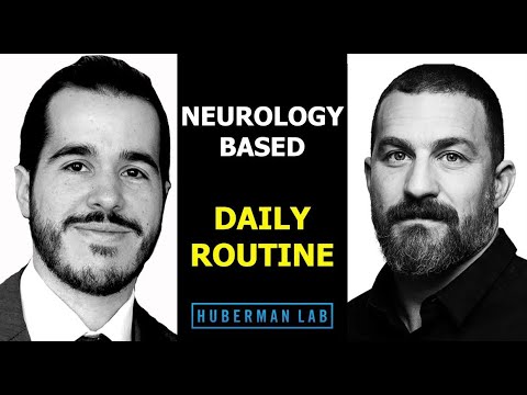 I did Andrew Huberman’s Routine for 7 days (THE BILLION DOLLAR ROUTINE ...