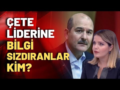 Seyhan Avşar, Ayhan Bora Kaplan'a ve Soylu'ya yakın isimlerle konuştu! İşte detaylar...