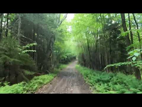 NEBDR 2022 14 VERMONT CLASS 4 ROAD (EXPERT LEVEL) SECTION #3 RIGHT ...