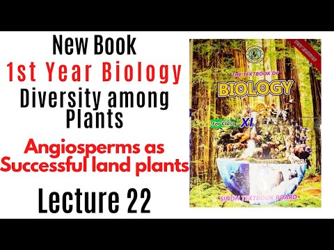 angiosperms as successful group of land plants || Diversity among ...