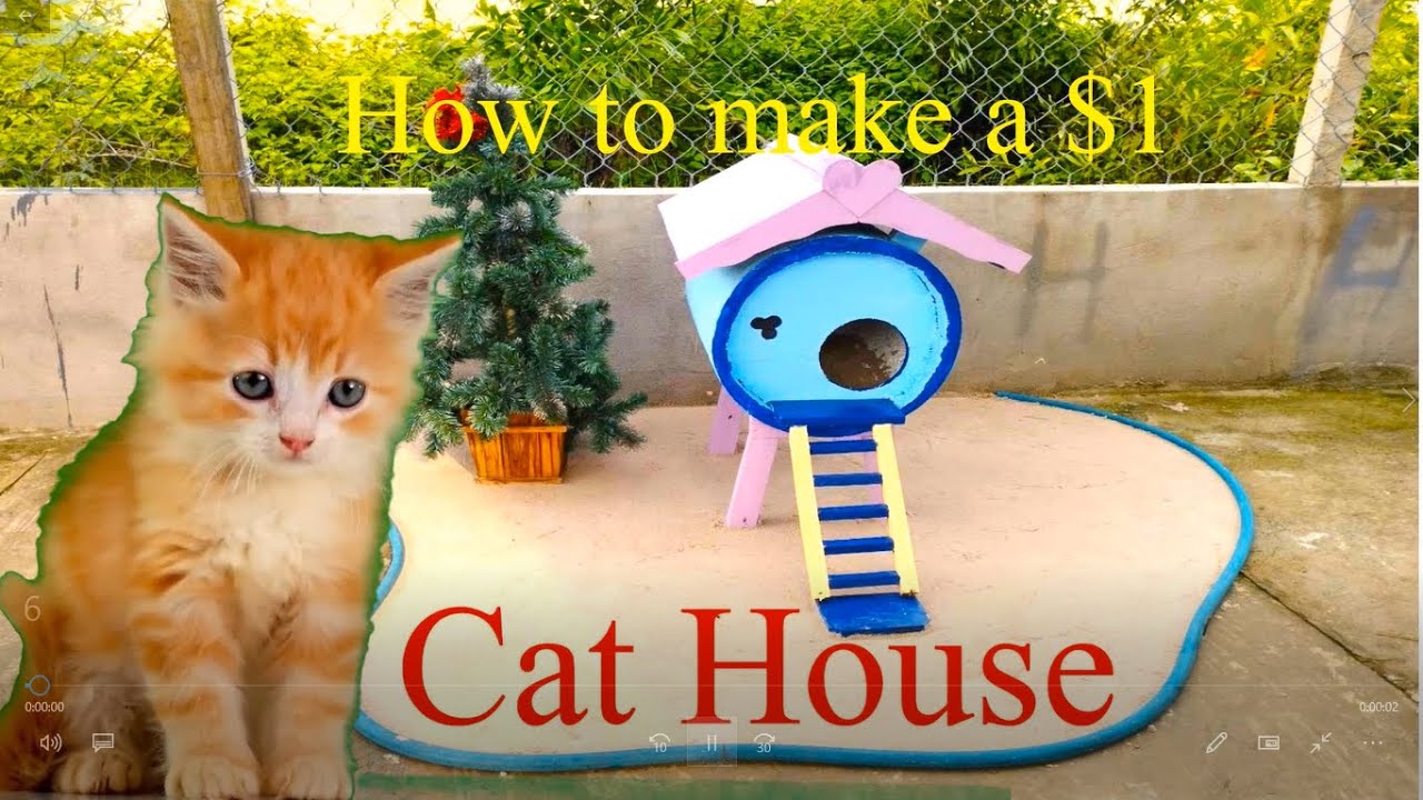 How to make a $1 cat house/Making a cat house is very easy/Making a ...
