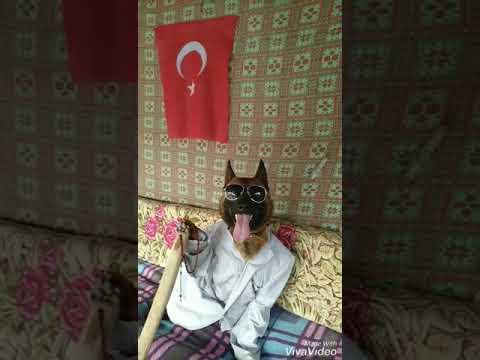 Hayatı tesbih yaptım😊