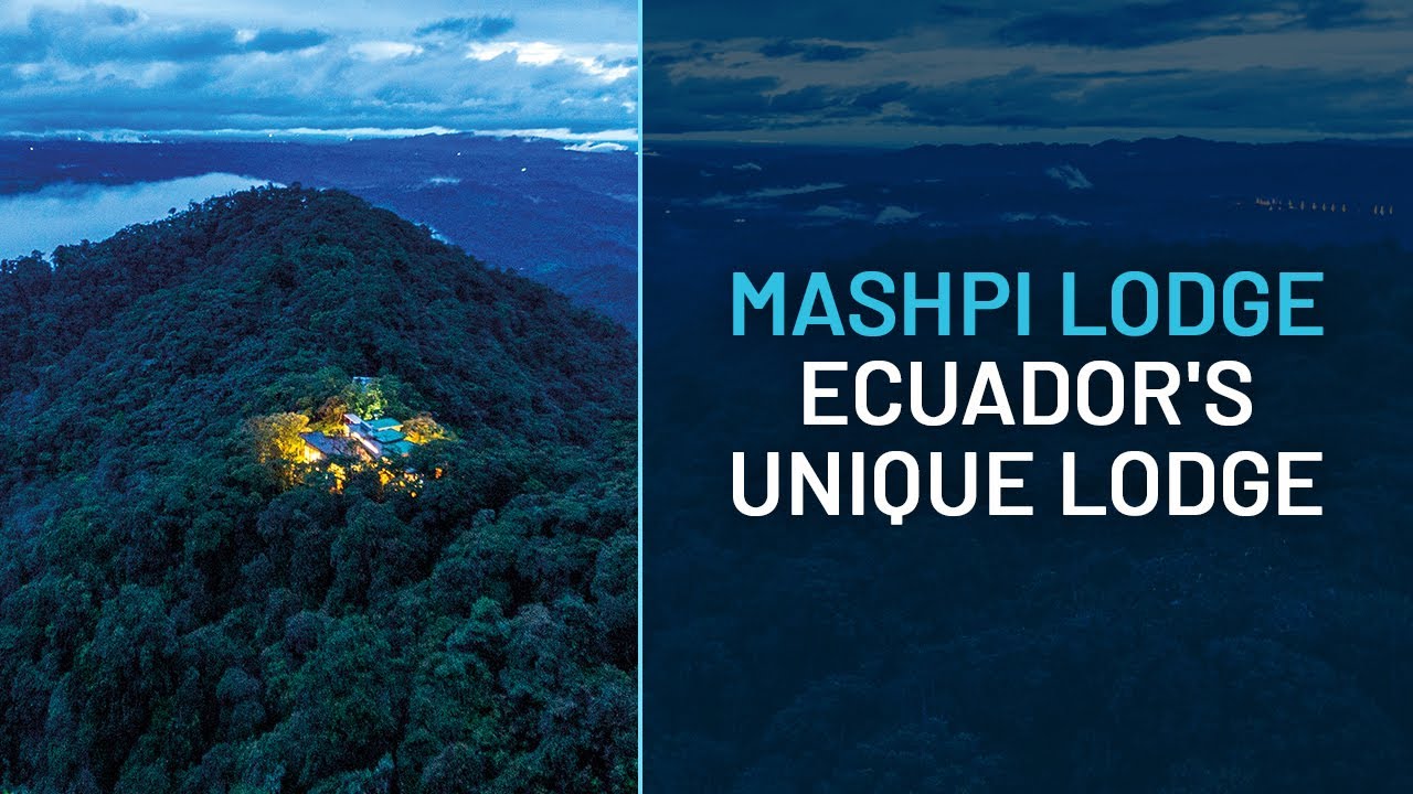 Mashpi Lodge | Recognized by National Geographic as one of Ecuador's ...