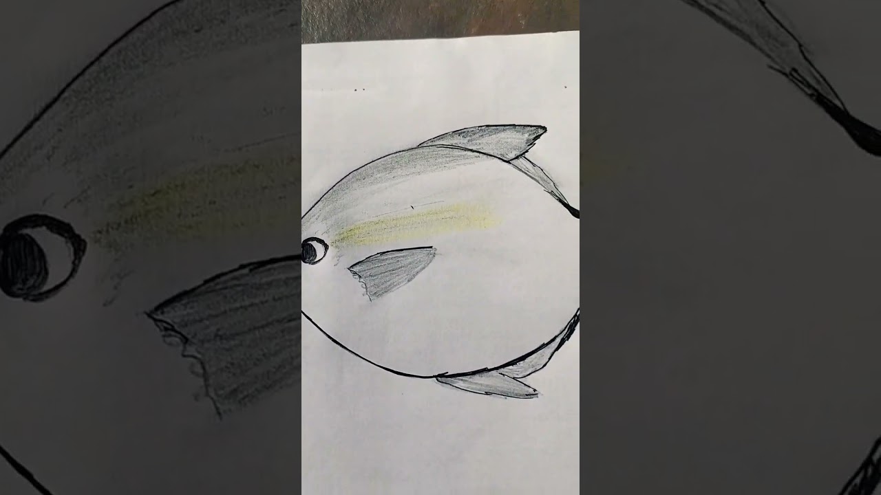 Pomfret fish easy drawing #youtubeshorts # - YouTube