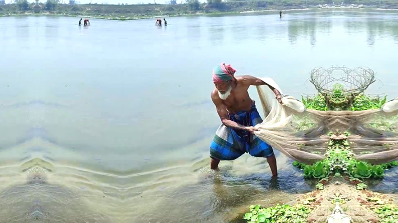 Amazing Fishing in River - Best Net Fishing Video - Traditional Fishing ...