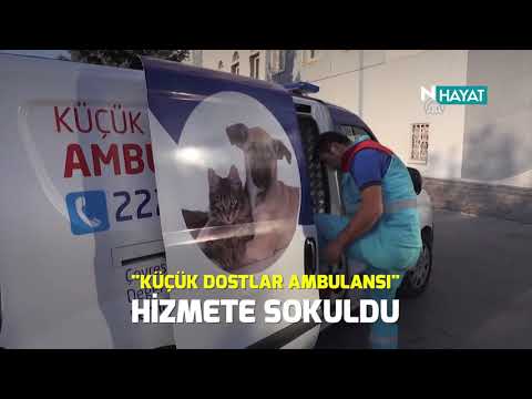 N Hayat... Küçük Dostlar Ambulansı