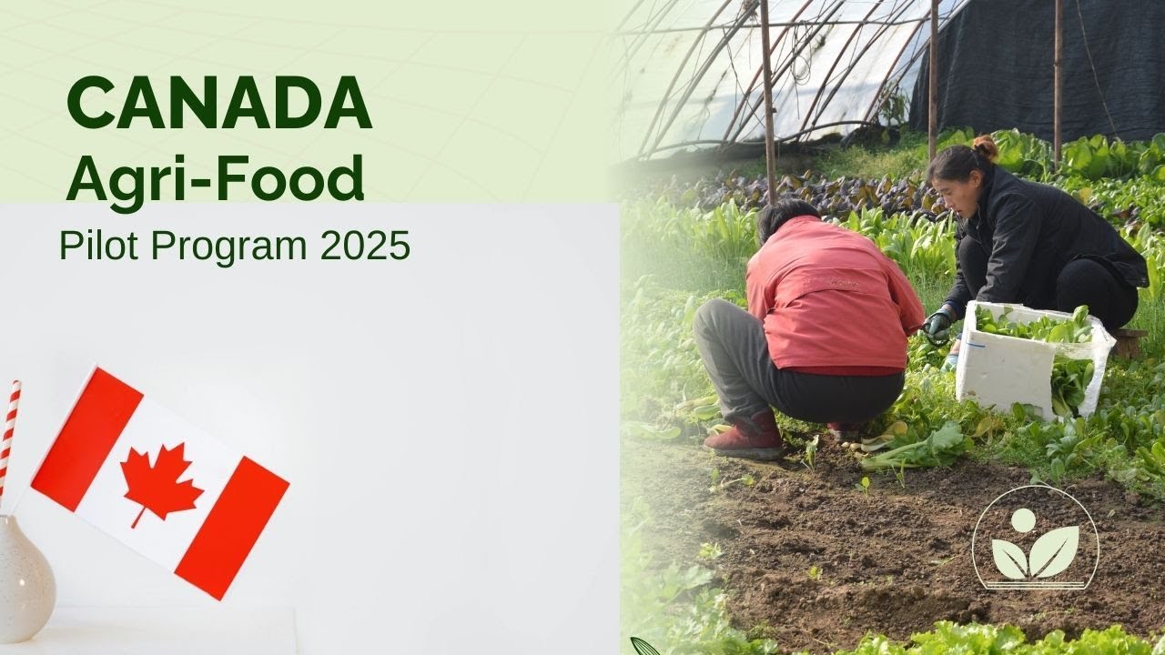 Canada Agri Food Pilot Program 2025 - YouTube