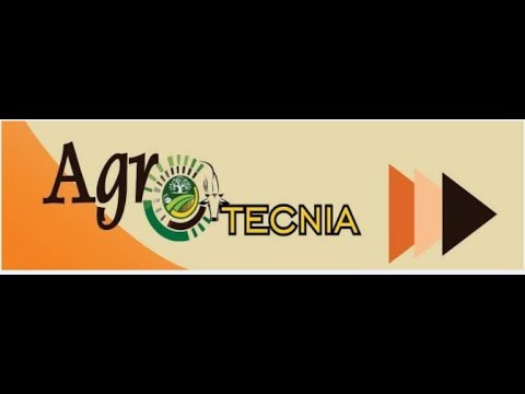Gusano falso medidor - YouTube