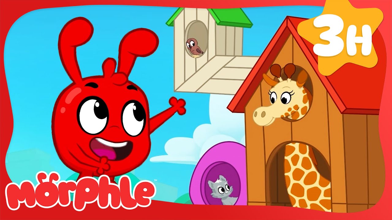Morphle Builds a House for the Giraffe 🦒 | Morphle's Family | My Magic ...