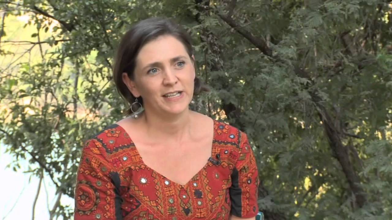 Ruth Hall explains the China and Brazil in African Agriculture (CBAA ...