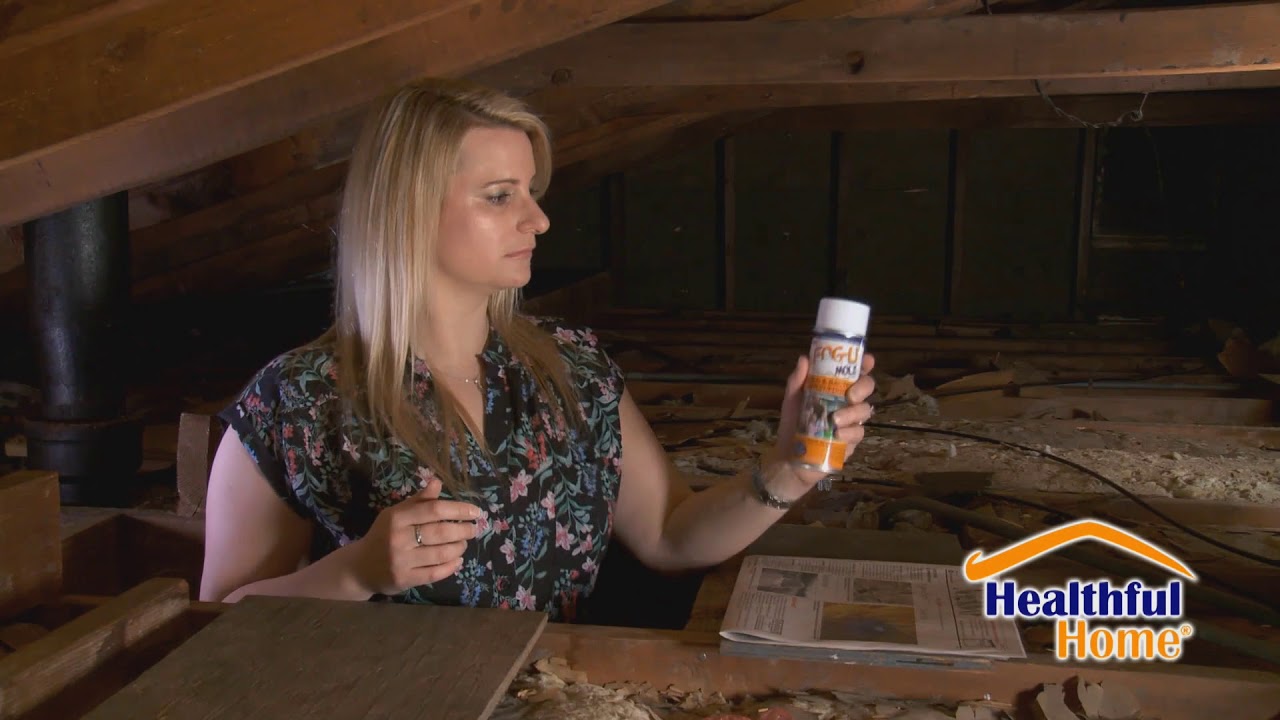 Healthful Home Mold & Disinfectant Spray Cleaner - YouTube