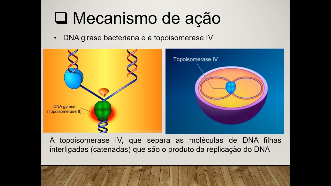 Fármacos Antimicrobianos - Quinolonas - YouTube
