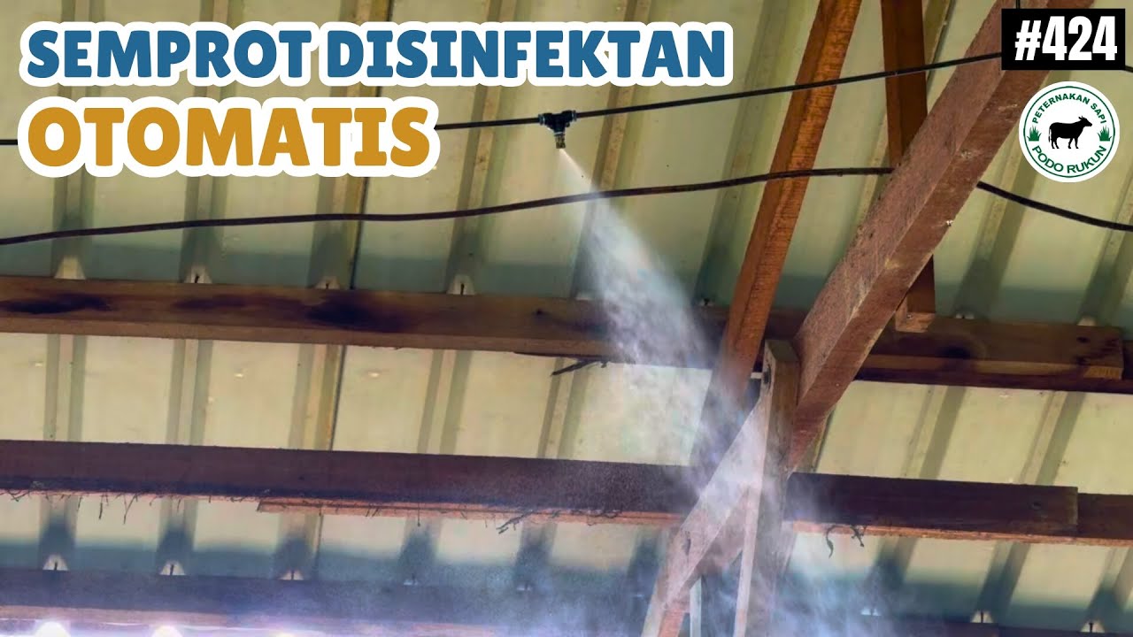 SEMPROT DISINFEKTAN OTOMATIS DI KANDANG PODORUKUN - YouTube