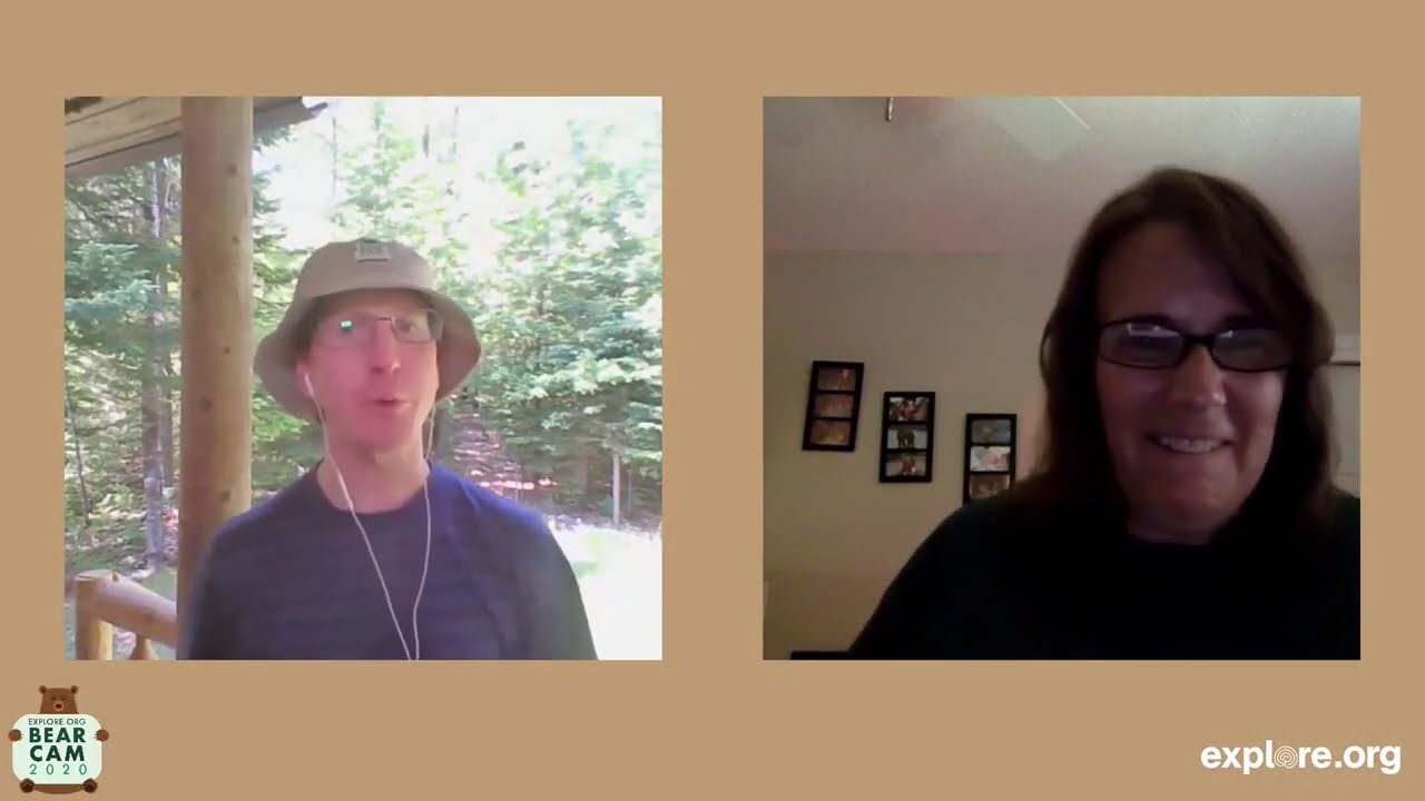 Live Chat: Wolves Fishing at Brooks Falls with Mike Fitz and the ...