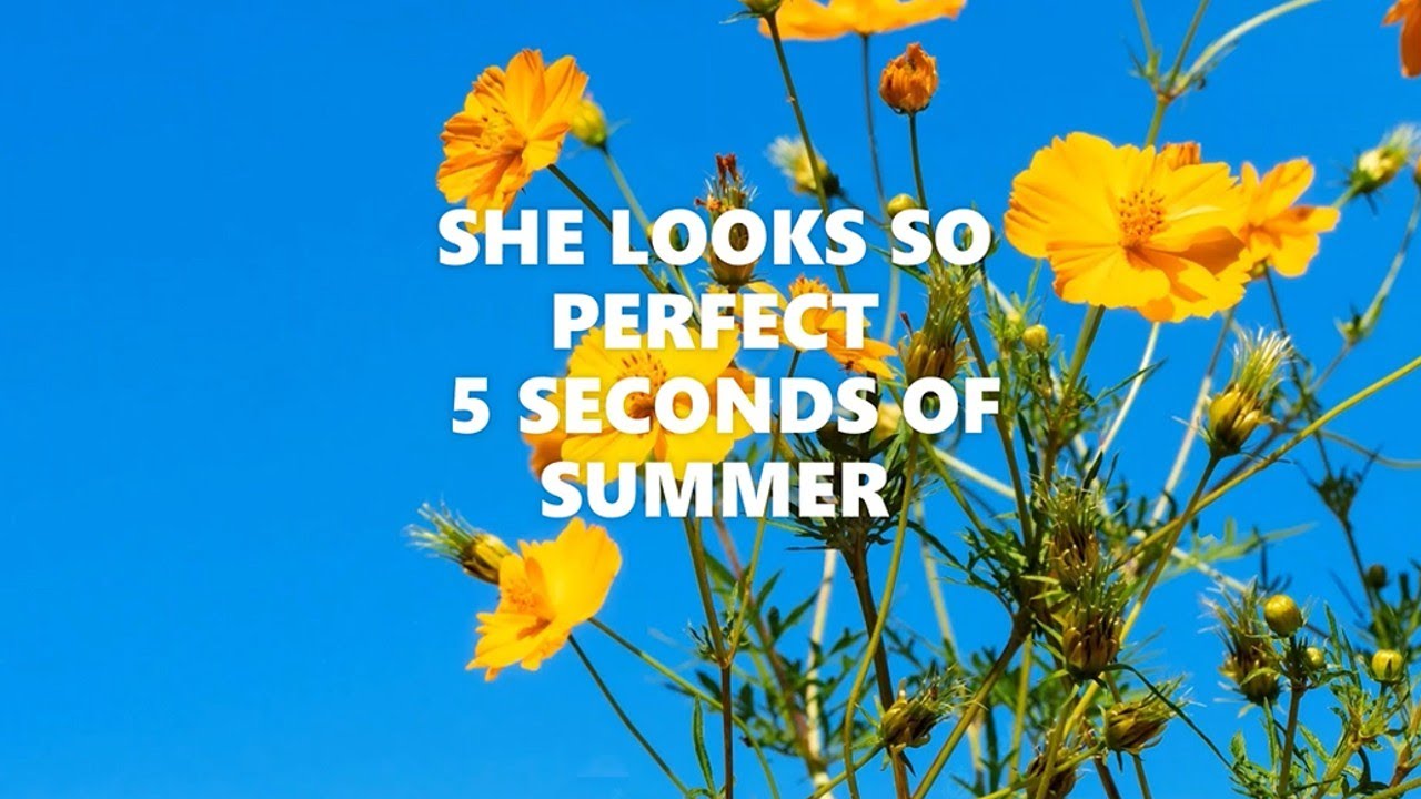 She Looks So Perfect (Lyrics) - 5 Seconds Of Summer - YouTube