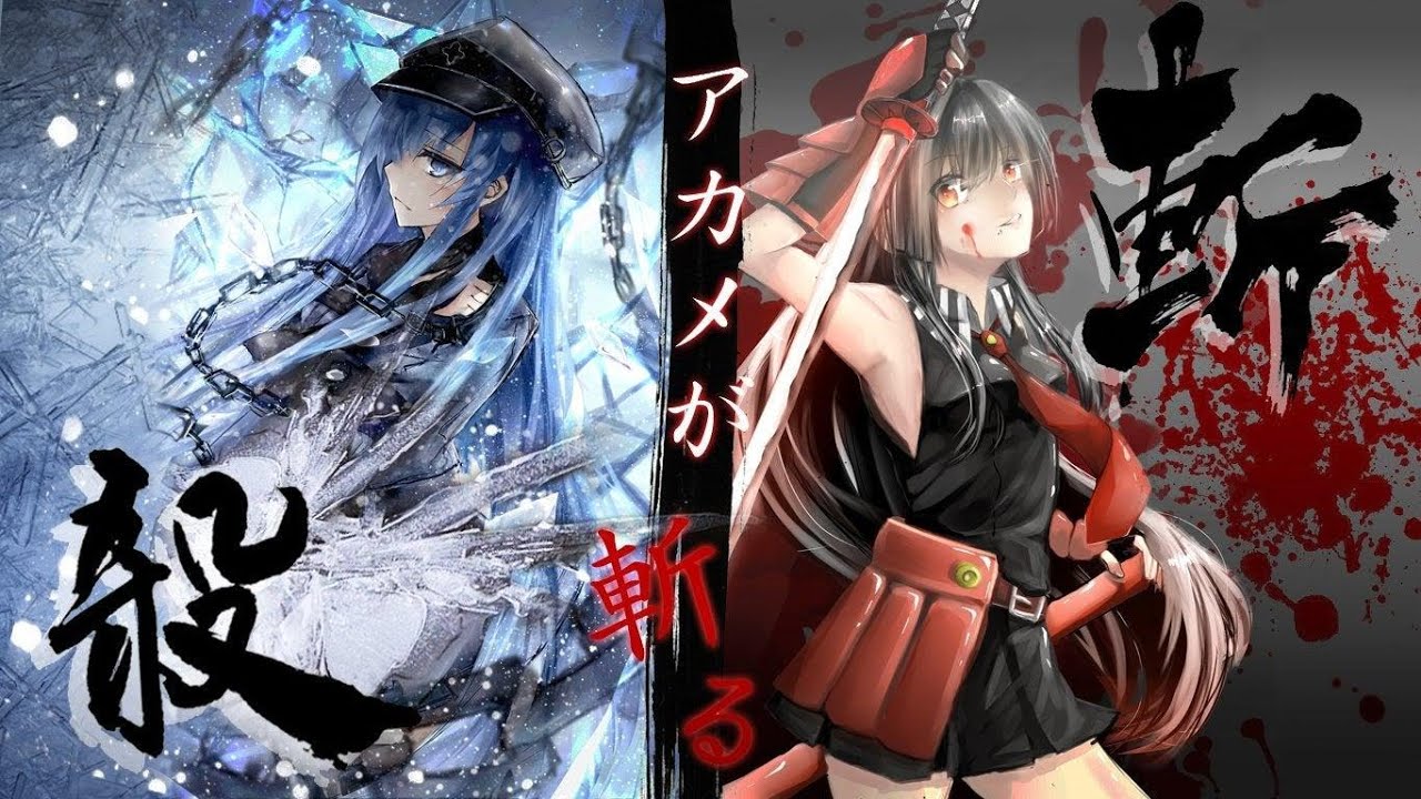 Akame vs Esdeath「AMV」HIT! - NUEKI & TOLCHONOV - YouTube