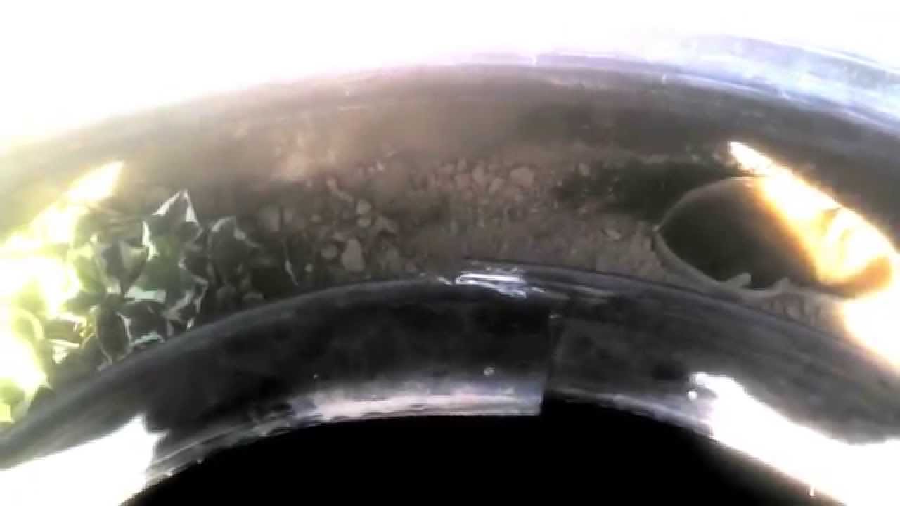 Double Decker Turtle Tire - YouTube