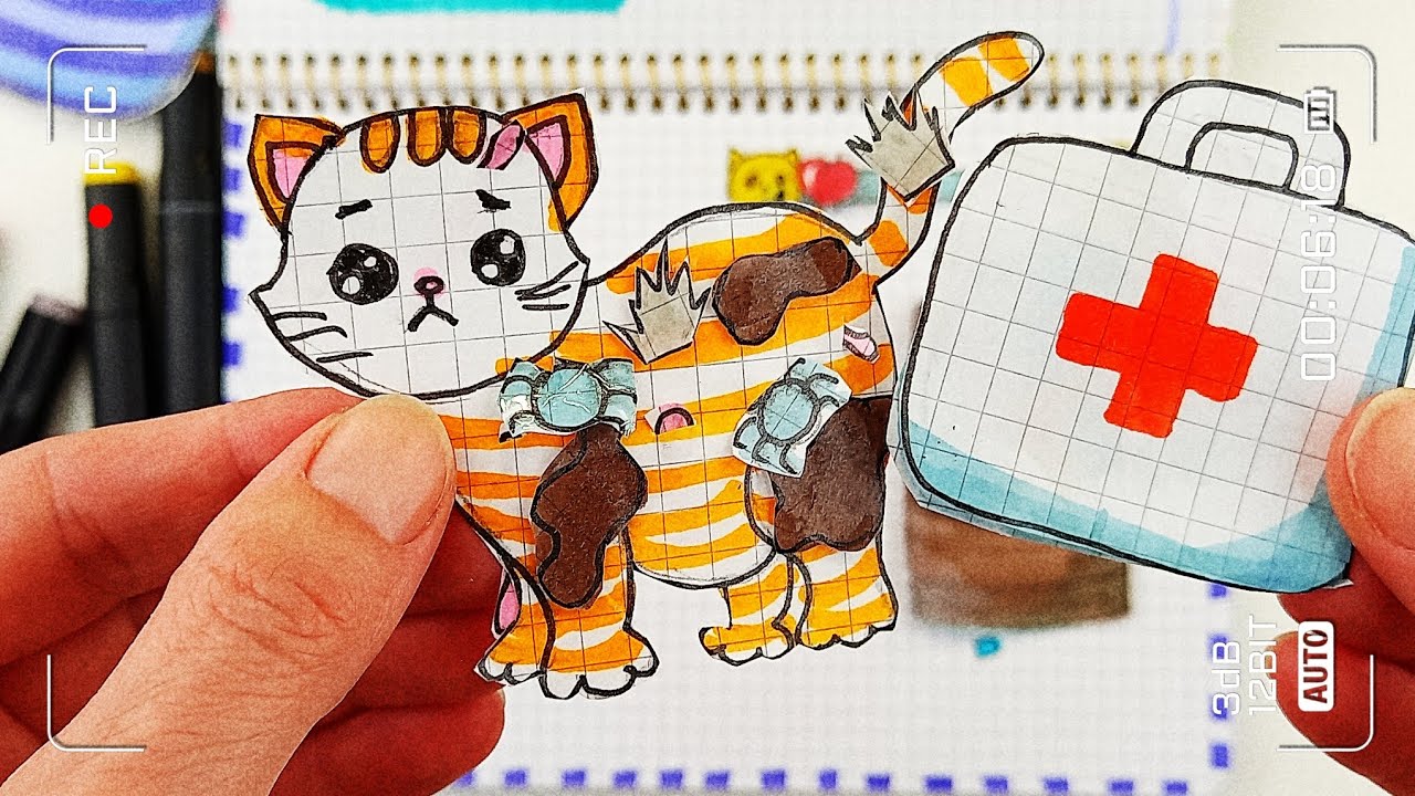 Rescue pregnant feral cats and help them give birth | Instructions to ...