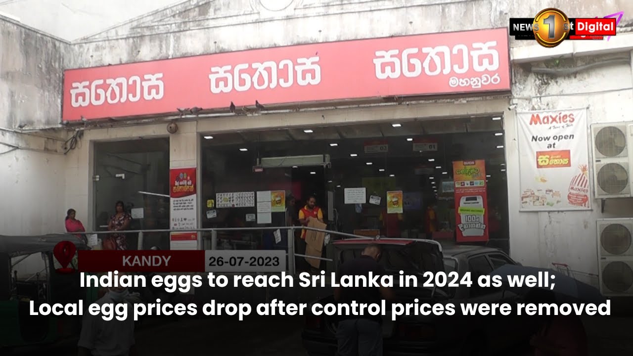 indian-eggs-to-reach-sri-lanka-in-2024-local-egg-prices-drop-after