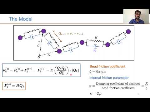 Rouse model with fluctuating internal friction - YouTube