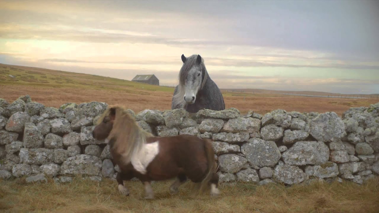 Three : The Pony [Commercial] - YouTube