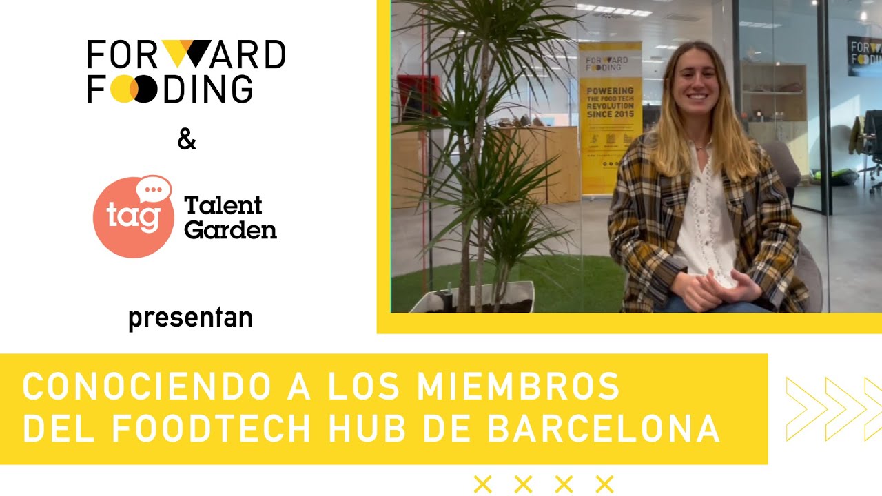 Introducing Barcelona's FoodTech Innovation Hub members - an interview ...