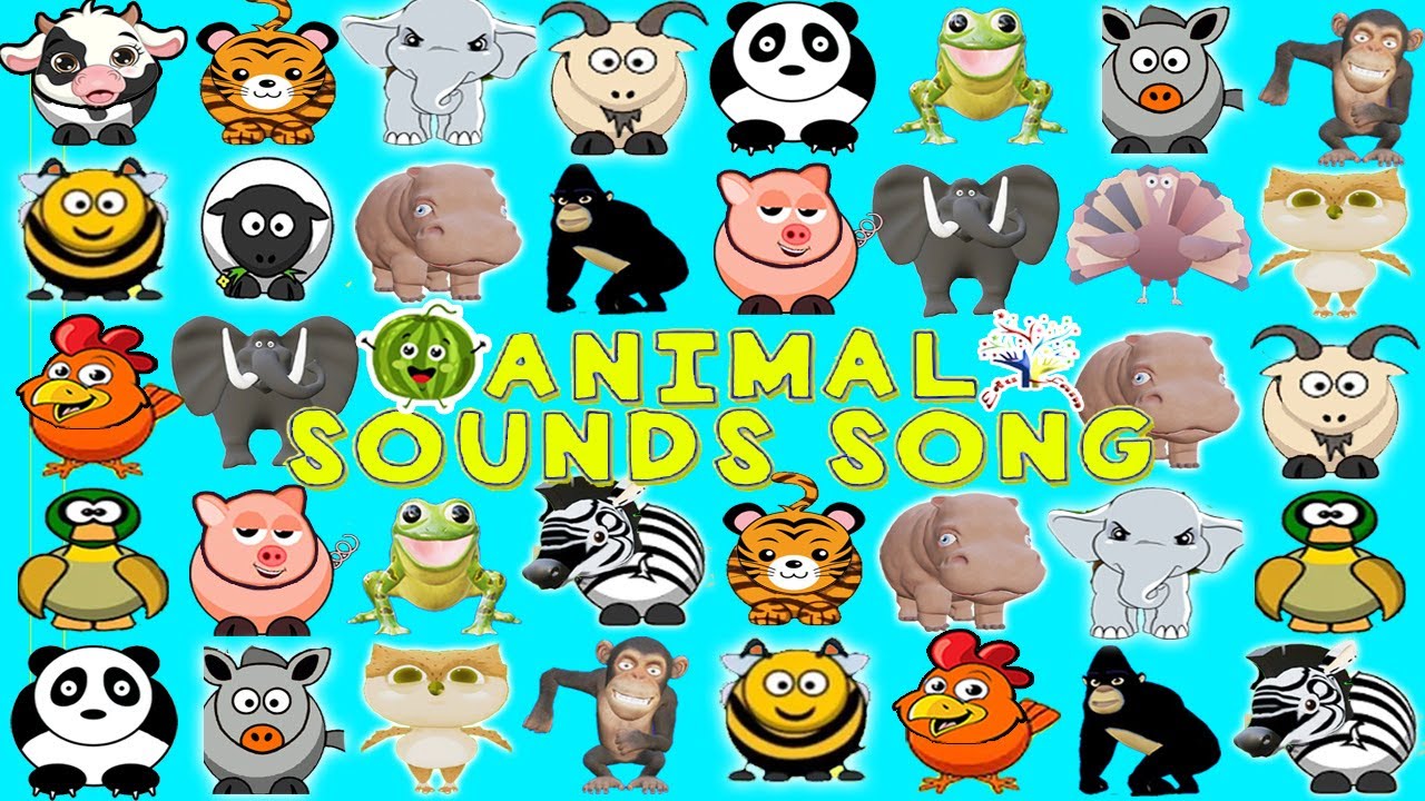 The Animal Sounds Song FA2AZ6 | Farm Animal Sounds Song Driving My ...