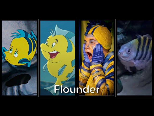 Puffer Fish From Little Mermaid
