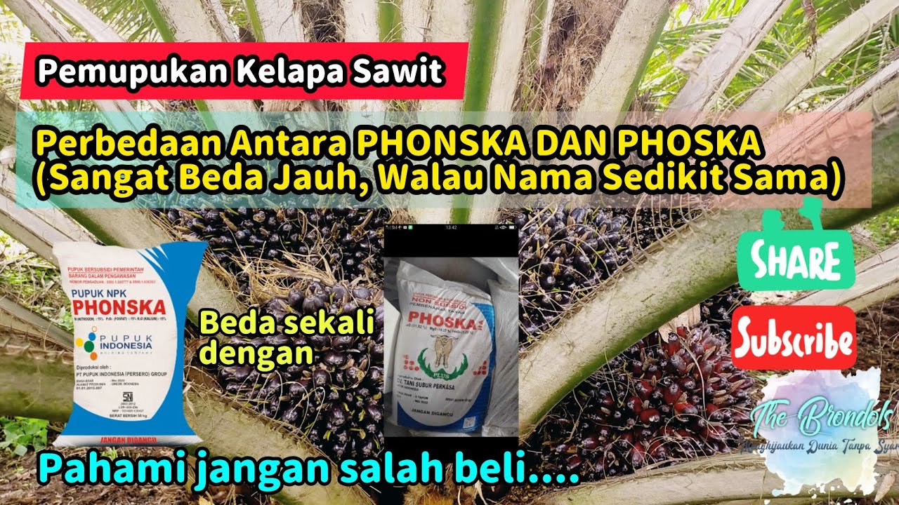 Perbedaan Antara PHONSKA DAN PHOSKA (Sangat Beda Jauh, Walau Nama ...