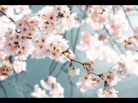 Очень душевная мелодия !! (Ayaz inceli)