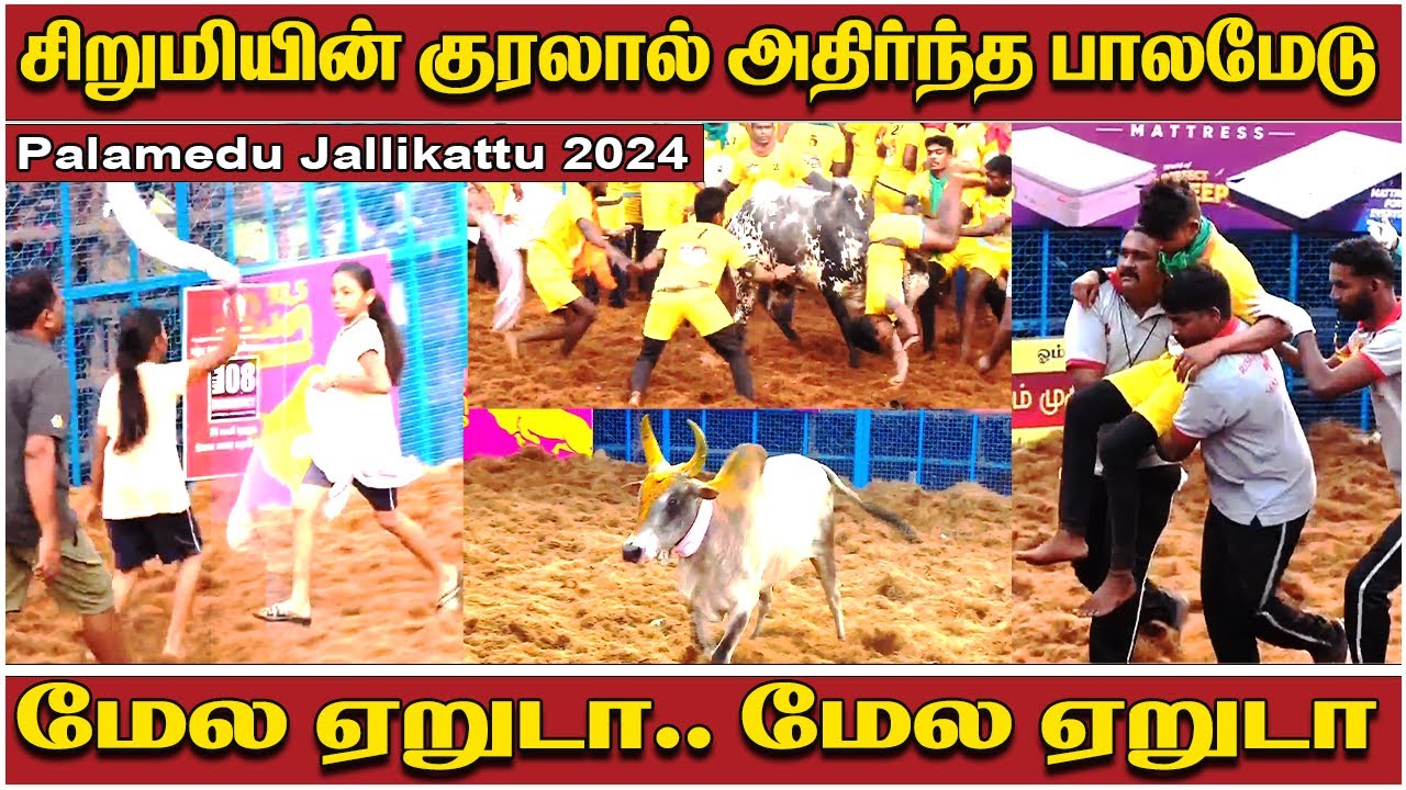 சிறுமியின் குரலால் அதிர்ந்த பாலமேடு | Palamedu Jallikattu 2024 ...