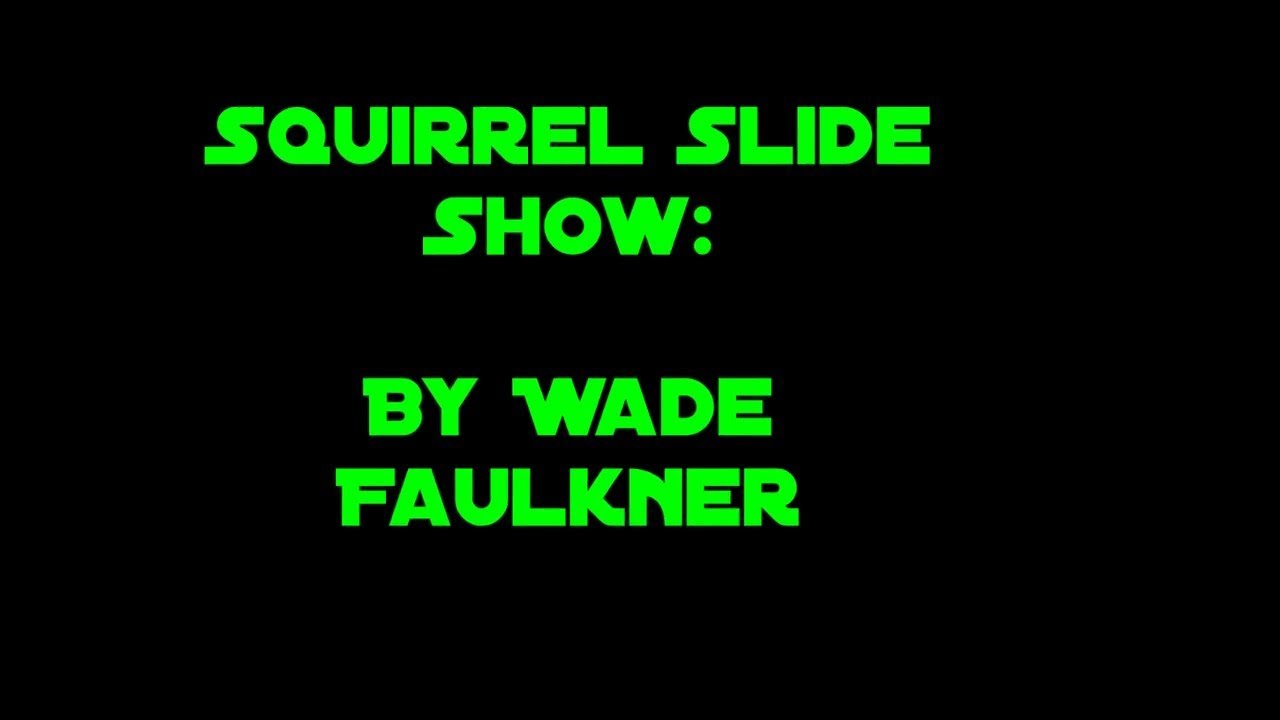 Wade's Squirrel Visual Aid (First Video) - YouTube