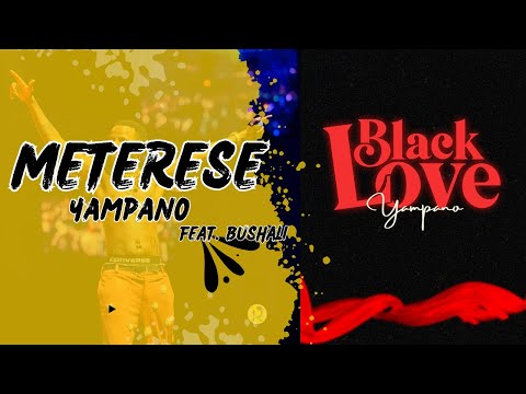 Yampano - Meterese Feat. Bushali ( official audio)