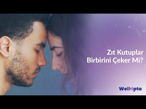 Zıt Kutuplar Birbirini Çeker Mi?