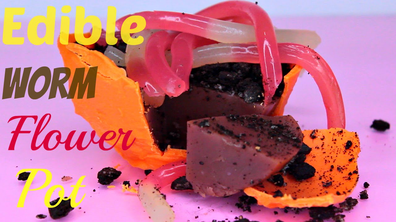 How to Make ALL EDIBLE Flower Pot with Earth Worms - YouTube