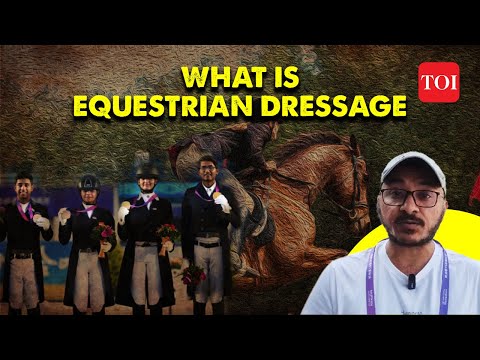 India wins gold after 41 years | What is equestrian dressage? Asian Games 2023