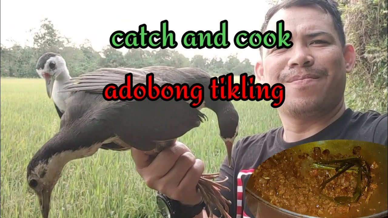 Catch and Cook Tikling|| ilonggo's style spicy adobong tikling||buhay ...
