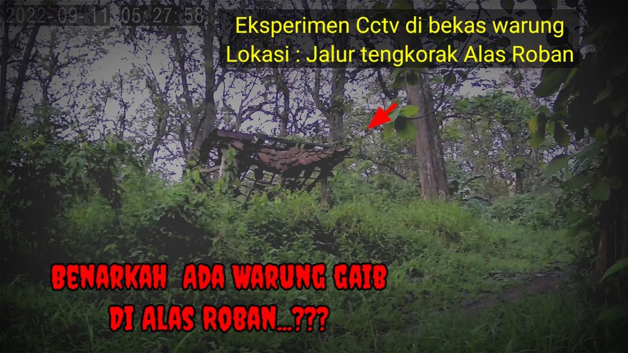 Benarkah Di Alas Roban Ada Warung Gaib - Eksperimen Cctv di tempat ...