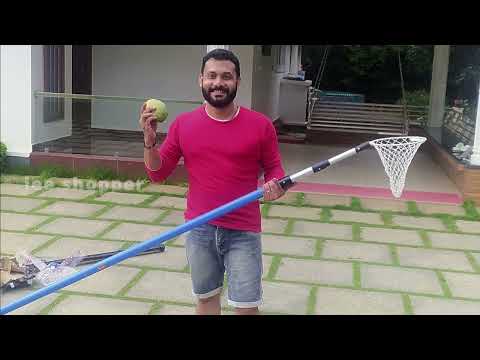 ഒരു തോട്ടി കൊണ്ട് ഇത്രയും ഉപകാരങ്ങളോ? #telescopic pole #thotti #pole #Easy method to pluck  mangoes