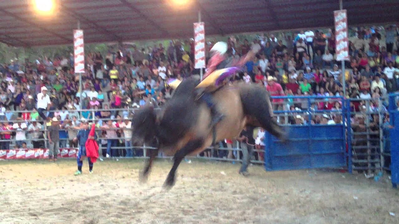 Toro muco en san Miguel - YouTube