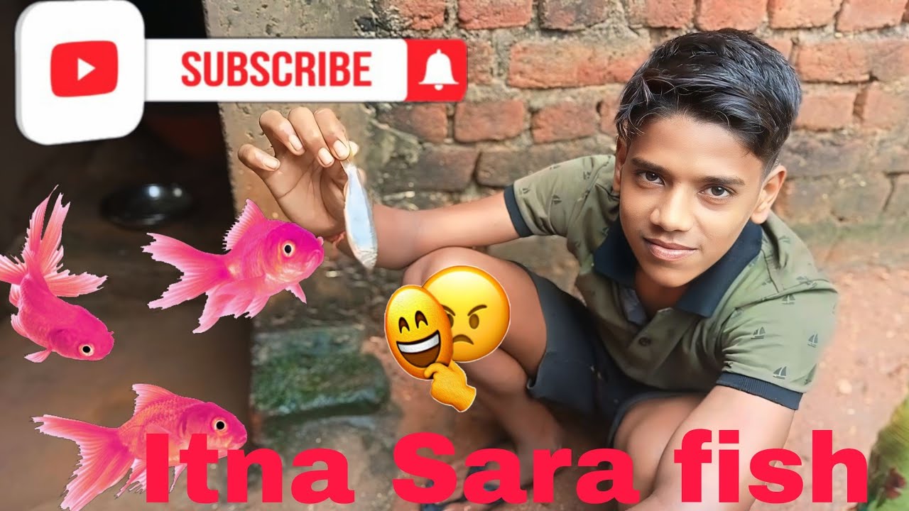 itna Sara fish #o bhay #🐟🐟 - YouTube